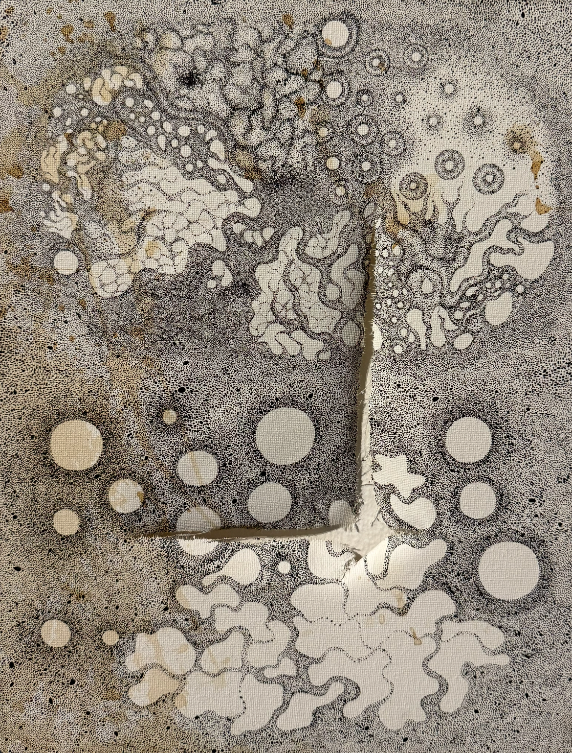 Sheylin Morales - "Impurity and Mutiny" – Superchief Gallery